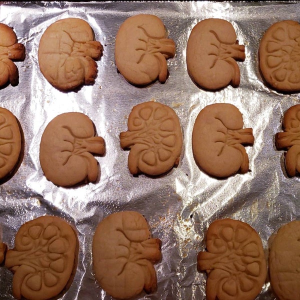 Anatomical Kidney Cookie Cutter – Renal Organ Shape for Medical ...