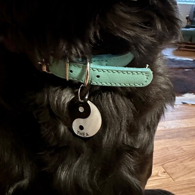 Frosted Dog Tag, Personalized Dog Tag, Dog Id Tag, Cat Name Tag, Pet ...