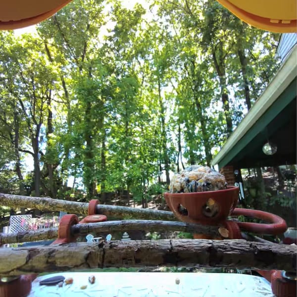 Bird Buddy Accessory Extender - Etsy