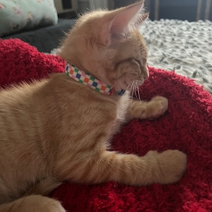 Retro Checkered Cat Collar With Bell, Colorful Male Cat Breakaway ...