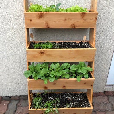 Living Wall, Vertical CEDAR Planter Box Ladder, larger Sizes ...