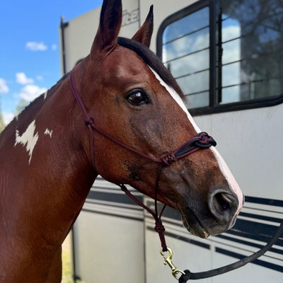 Sunflower Paracord Bitless Bridle, Sidepull Attachment. - Etsy