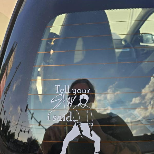 Stray Kids STAY Pose Decal - Etsy