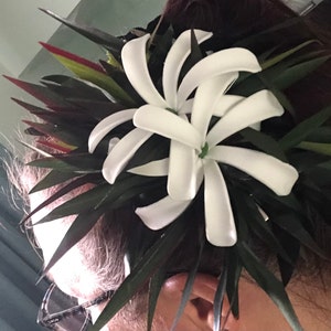 Moana's Kuiga, Moana Movie, Samoan Princess Crown /tuiga/kuiga Pale ...