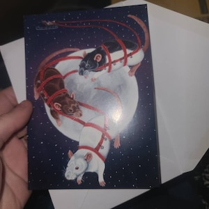 Rat Art Print, Come Fly With Me, A4 Sized Print, Featuring Roan Husky ...