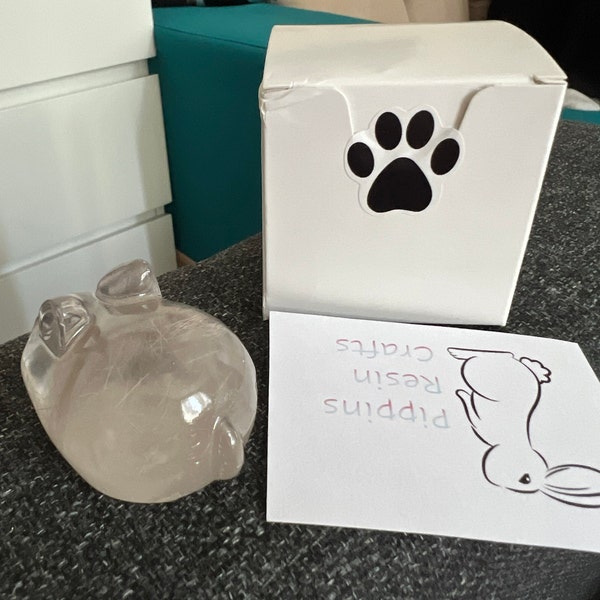 Clear Resin Cast Preserved Cat/dog Fur/ashes Memorial Paw Print ...