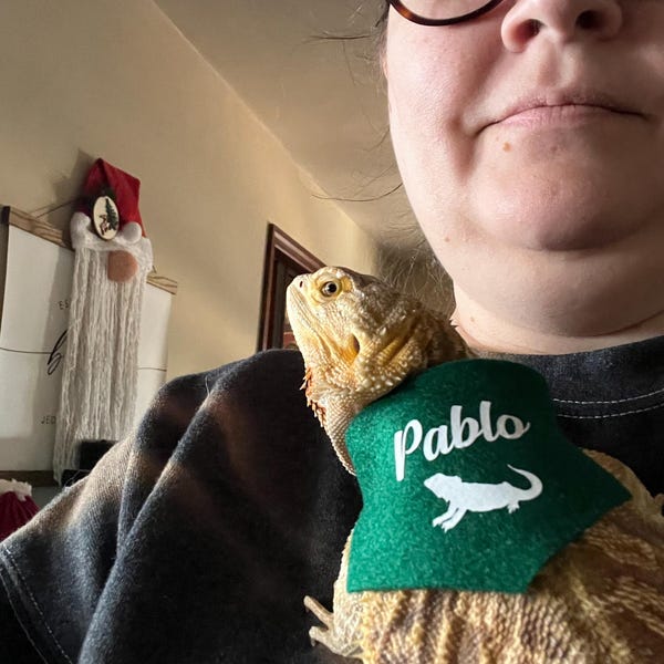 Hamster Castle for Small Animal Hide House for Pet Rodent Cage ...