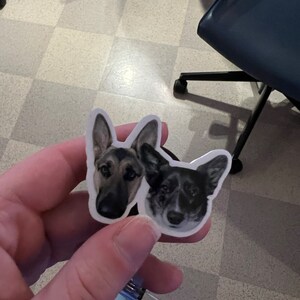 Baby Introduction Stickers Hello My Name Is...stickers - Etsy