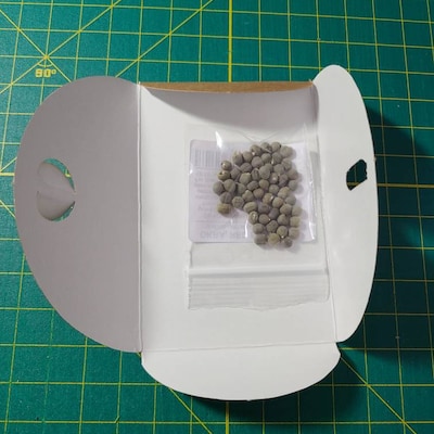 Three Sisters Seed Collection Native American Farming Corn, Bean ...