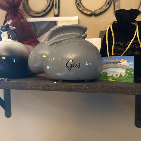 Rabbit Urn Bunny Ashes Casket - Etsy