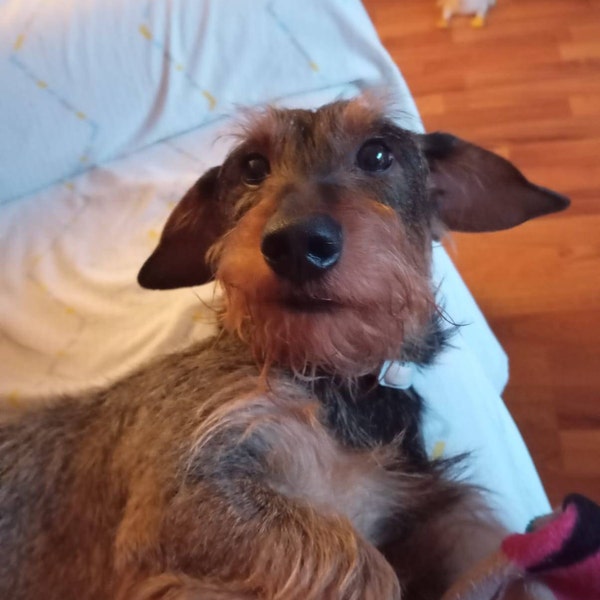 Vintage New Crown-ette Power-net Lace and Satin Shaping Slip Snow White ...