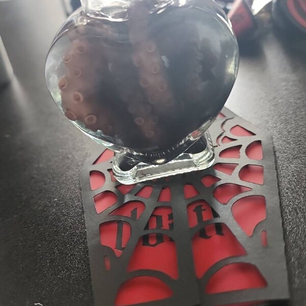 Mini Octopus Tentacle Wet Specimen Heart Bottle | Real Taxidermy ...