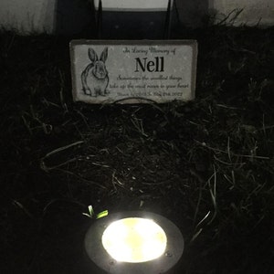 Personalized Horse Pony Memorial Stone. 8x4 Stone Brick. - Etsy