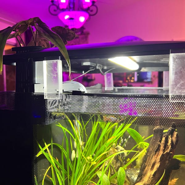 Finnex Stingray Original LED Light Riser, Attractive Stable Elevated ...