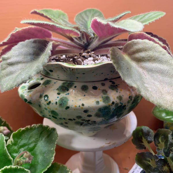 Ceramic Violet Pot (sm. Herb Garden) - Etsy
