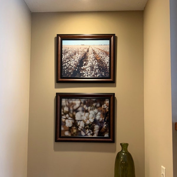 Cotton Fields Photo Set, Classic Cotton Fields, Texas Cotton Field Wall ...