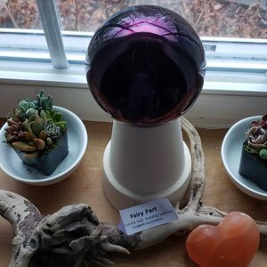 Fairy Farts Live Micro Succulent Garden in 2 Inch Pot - Etsy