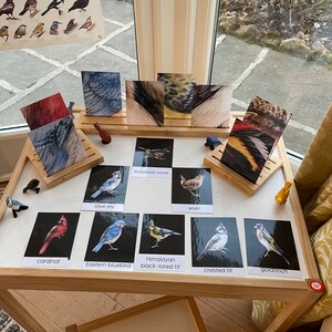 Tree Leaf Identification Cards Montessori Materials - Etsy