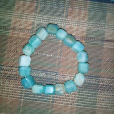 Agatized Turritella Shells - Etsy