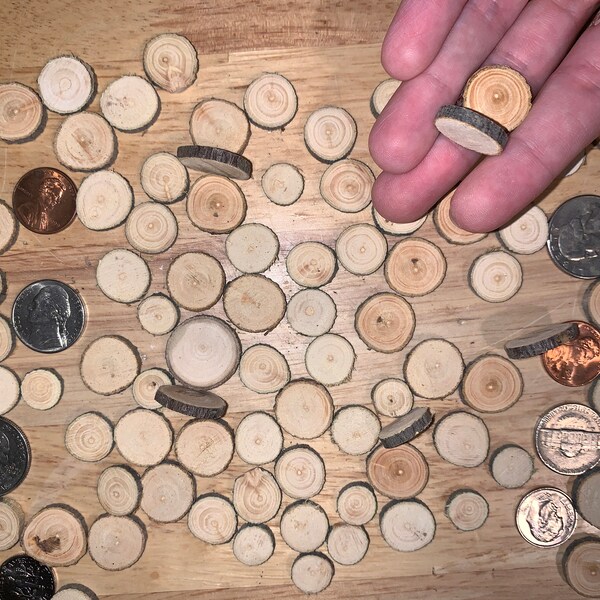 Rowan Branches, Home Decor. 25 Dried Branches 12 Inch, Wood Decor ...