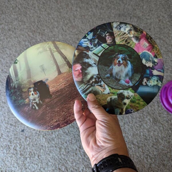 Halloween Disc Golf Disc Collectible Gift Functional Art Witches Spooky ...