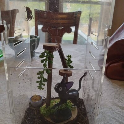 Jumping Spider Care Sheet, Printable Spider Tracker, Pet Breeding ...