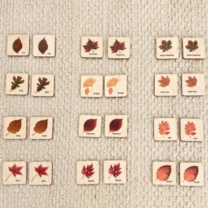 Montessori Wood Tree Leaves Matching Puzzle/ Homeschool - Etsy