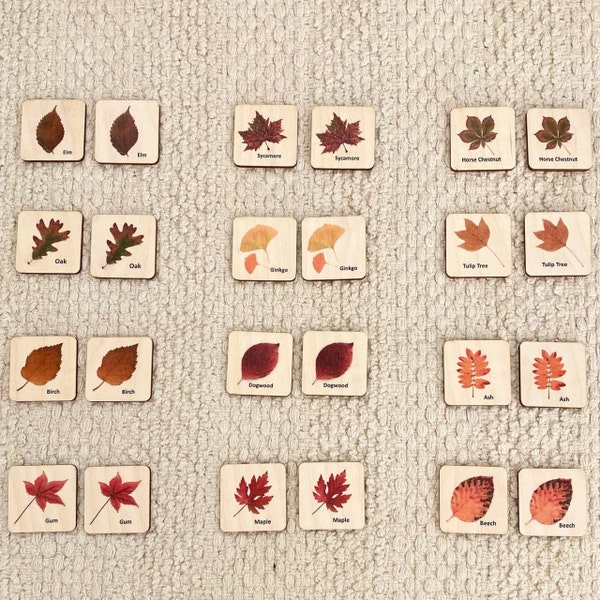 Montessori Wood Leaf Memory Game/ Matching Cards for Kids/ Homeschool ...