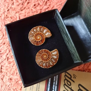 Ammonite Fossil Cufflinks. Golden Ratio, Men's Cufflinks. for Dad, Gift ...