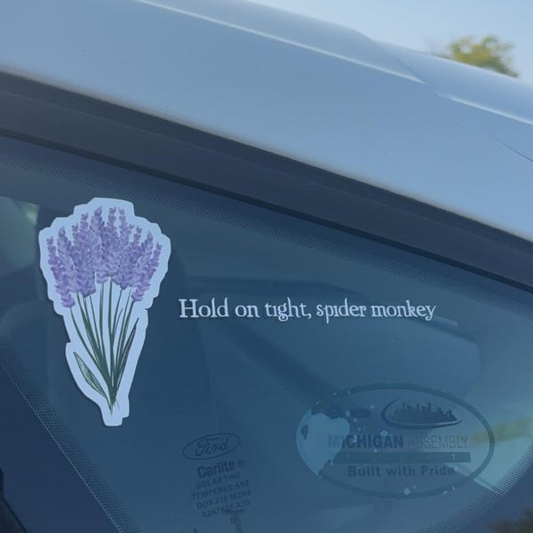 Hold on Tight, Spider Monkey - Twilight Visor Mirror Vinyl Decal - Etsy