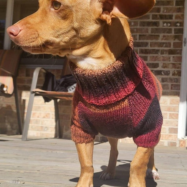Dachshund Sweater - Dog Clothes - Dog Clothing - Dog Sweater ...