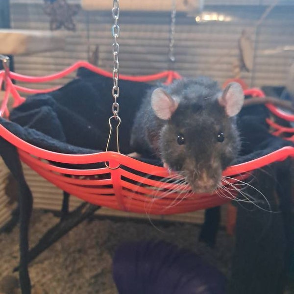 Large Chunky Wood Pet Perch for Cage, Pet Rat Toy Accessories, Rat ...