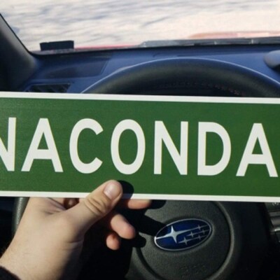 Anaconda Anaconda Gift Anaconda Sign Large Snake Zoo - Etsy