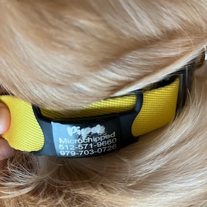 Bone Aluminum Dog ID Collar Custom Engraved Pet ID Tags - Etsy