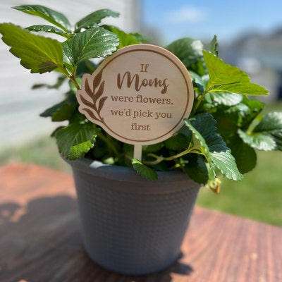 Sweet Summer Time Jar SVG Digital File Download Glowforge File , Laser ...