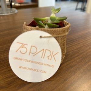 Custom Tags, Round Tags, Printed Tags, Personalized Tags, Custom Hang ...