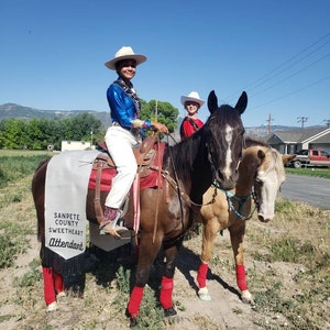 Patriotic Waves Arena Rodeo Queen Shirt Sizes Child 5/6 Adult Xlarge - Etsy