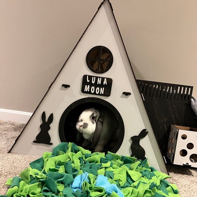Modern Rabbit House, Indoor Rabbit Castle, Rabbit Furniture, Extra ...