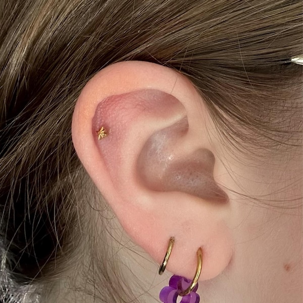 20G/18G/16G Titanium Star Threadless Push Pin Labret, Starburst Flat ...