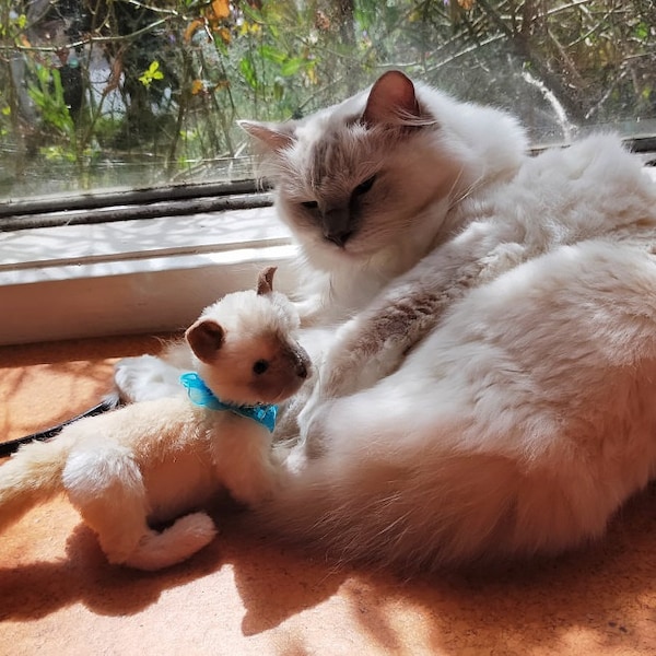 Fox Sewing Pattern, Plush Fox, Realistic Fox PDF, DIY Fox Pattern ...