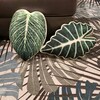 Philodendron Birkin Pillow / Philodendron Birkin / Birkin Leaf Cushion ...