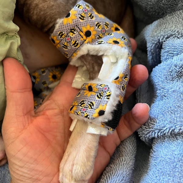 Size: Jumbo Rabbit Hock Socks 2-way Straps - Etsy