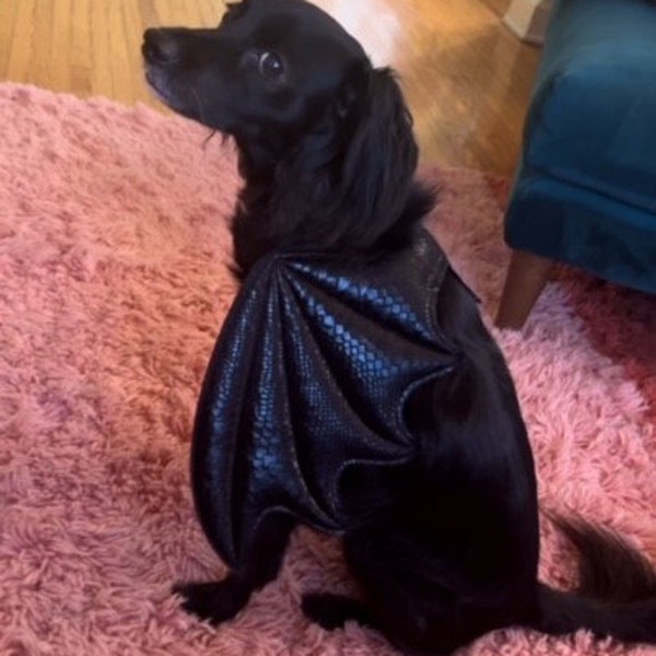 Mini Dragon Wings: Baby Toddler Costume Wings - Etsy