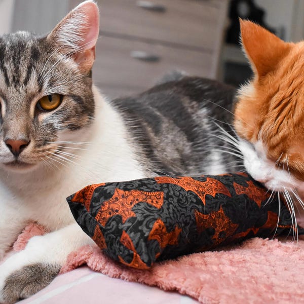 Big Bat Halloween Catnip Cat Toys, Gifts for Cat Lovers, Spooky Pet ...