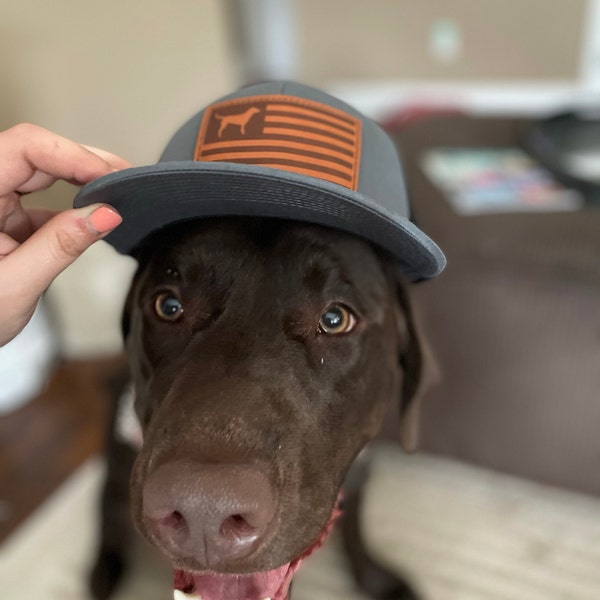God Bless Labs- Labrador Retriever Hat- Hunter’s Gift- Yellow, Black ...