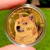 Dogecoin Doge Coin Doge Crypto Cryptocurrency Physical Colored Gold ...