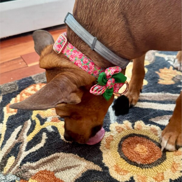 3D Dog Tags, Pet Dog Tag, Dog ID Tag, Personalized Pet Dog ID Tag ...