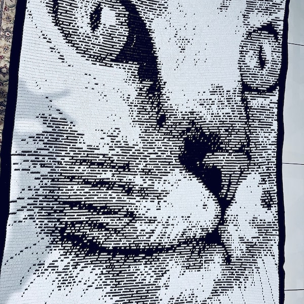 Magnifi-cat Overlay Mosaic Crochet Pattern - Etsy