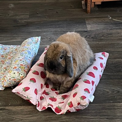 Bunny Snug Bed - Etsy