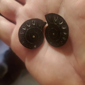 Printable Pendulum Mat Digital Download for Your Own Pendulum Mat ...